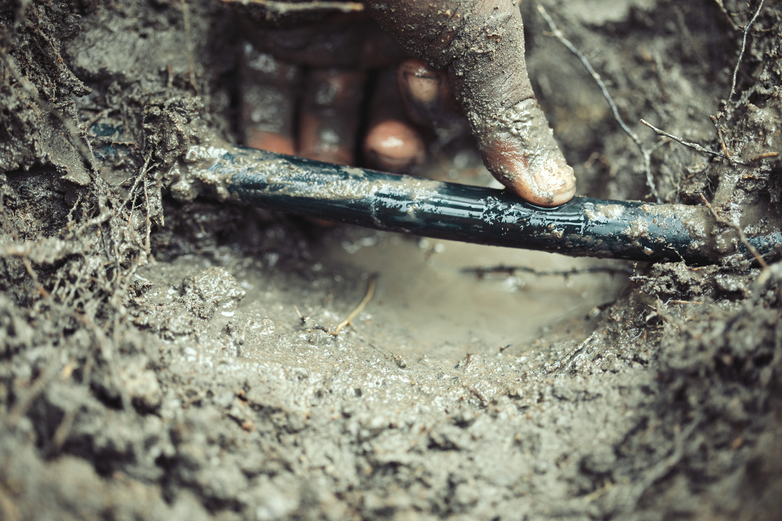 Drip Irrigation Systems | Netafim Africa