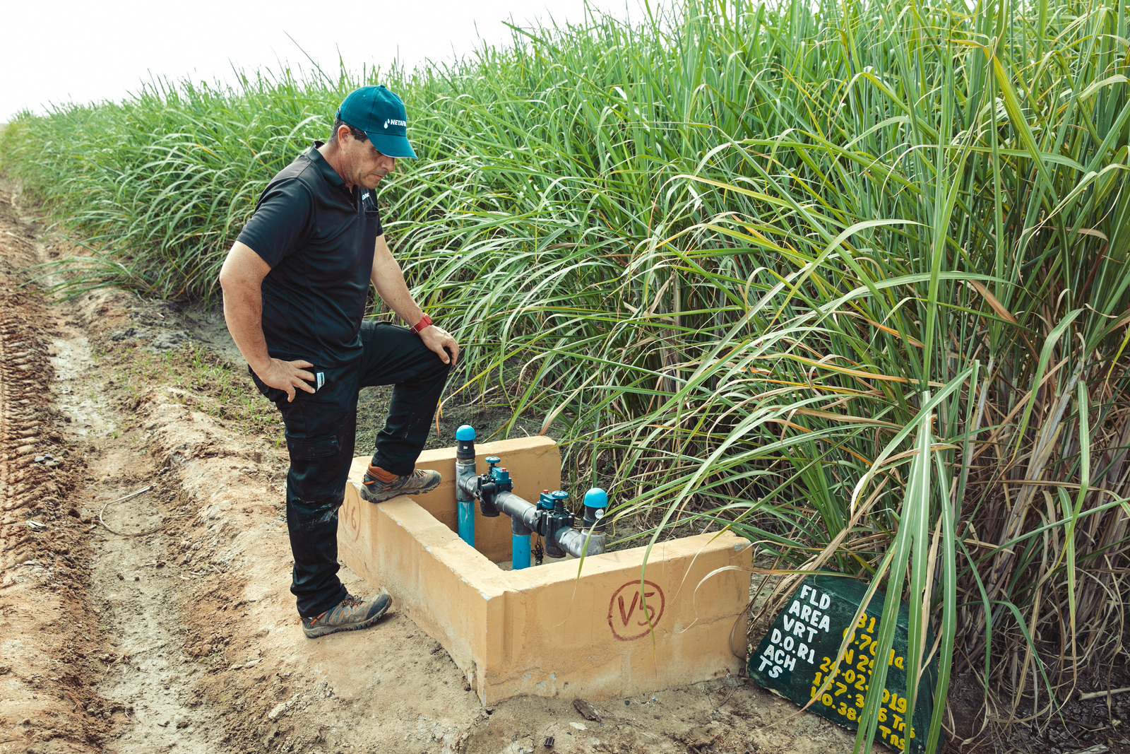 About Us - Everything about Netafim Africa