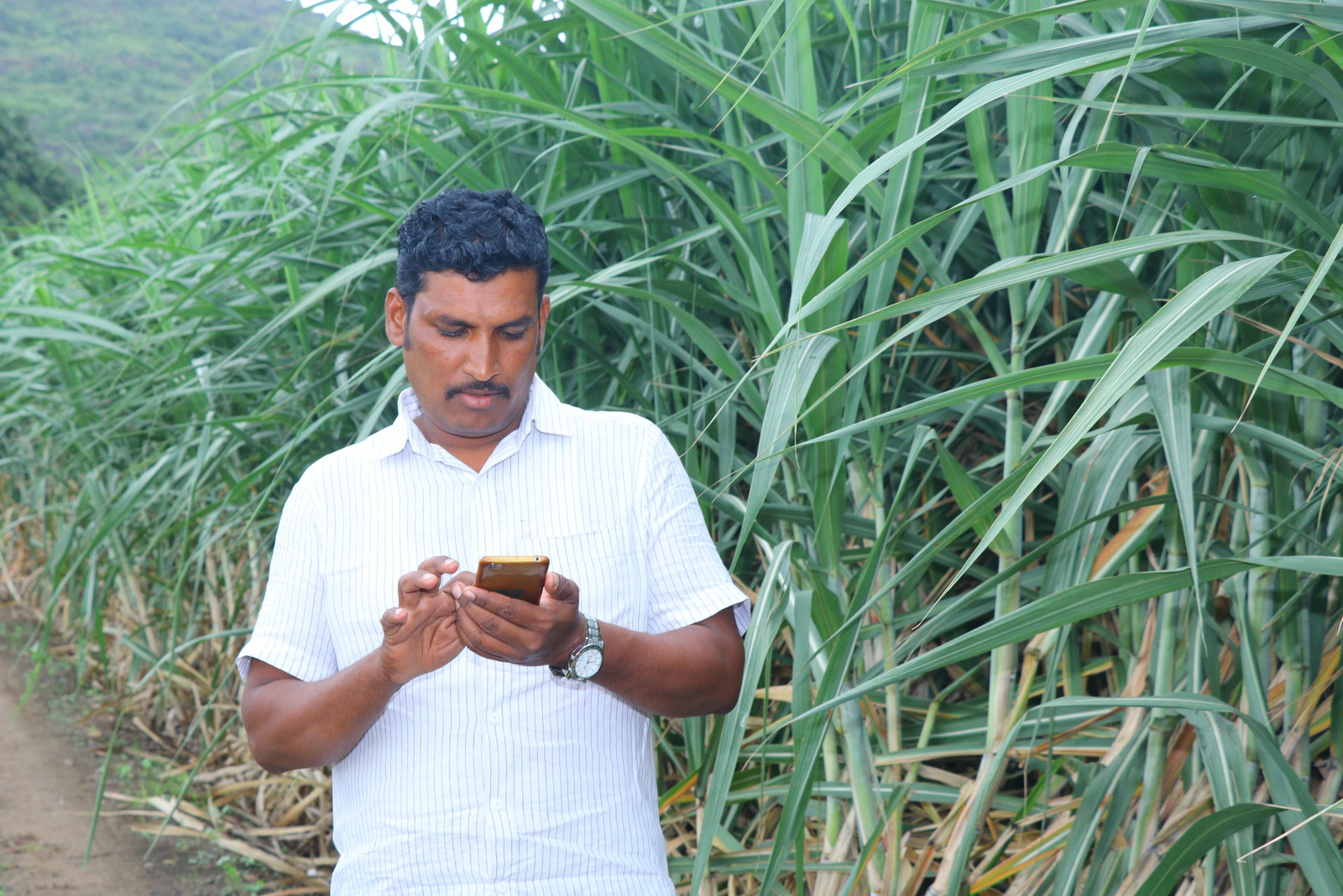 Netafim Africa | Agricultural Solutions & Services