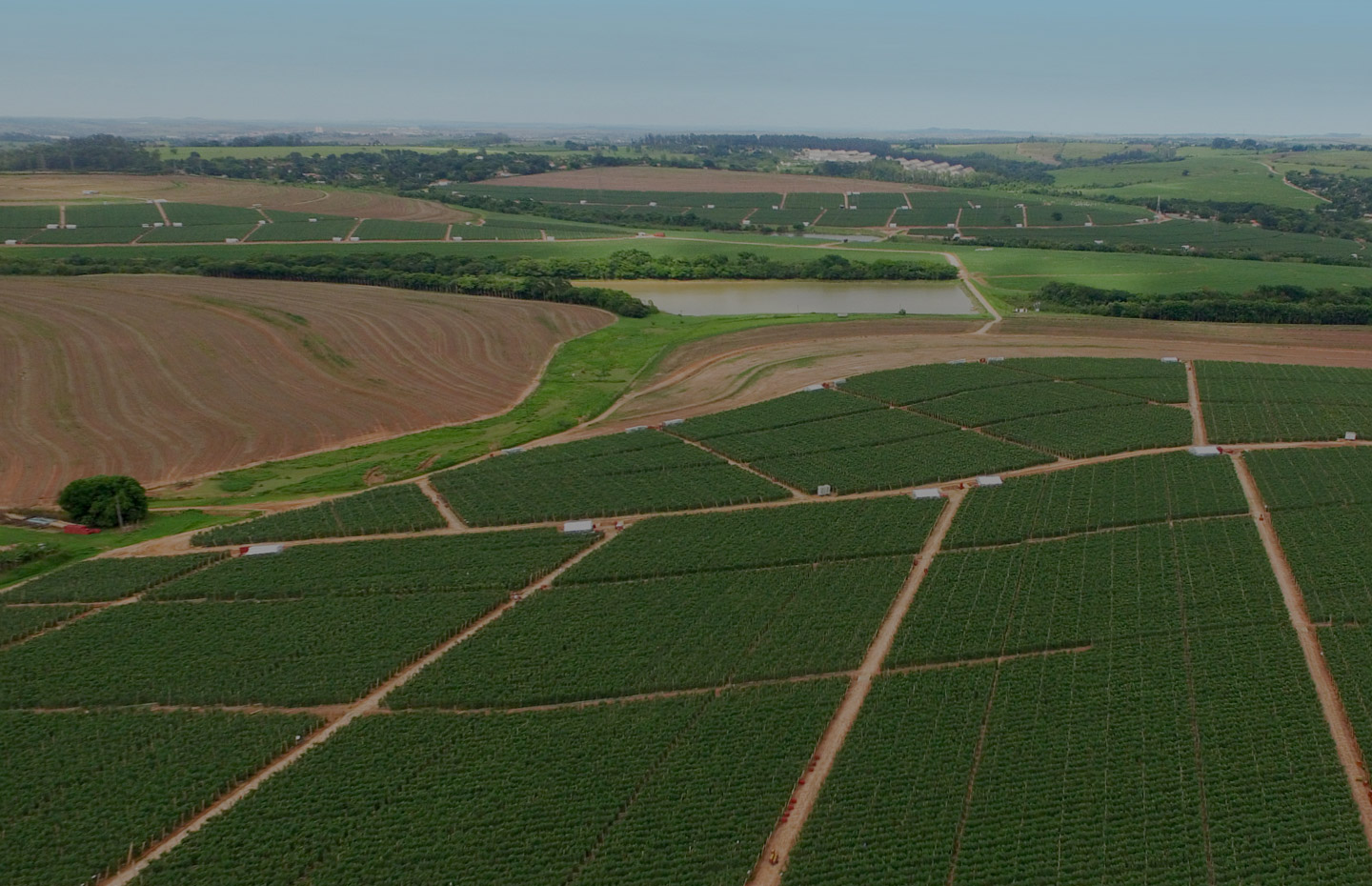 Rwanda Gabiro project